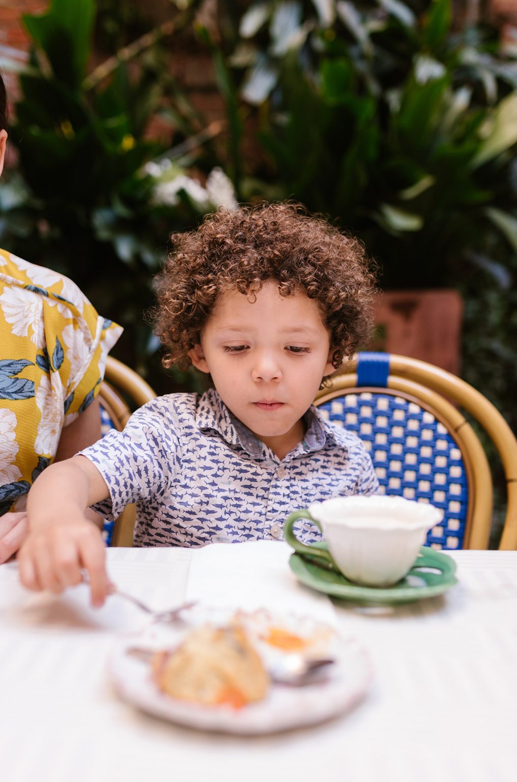 Tips para enseñar a masticar correctamente a los niños – Semillitas