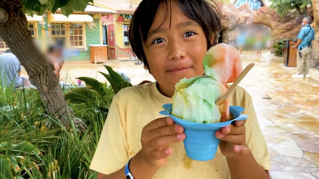 Niños influencers: ¿negocio familiar o pasatiempo en familia? – Semillitas